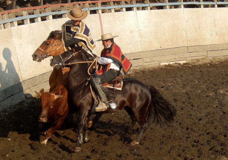 Rodeos y especismo