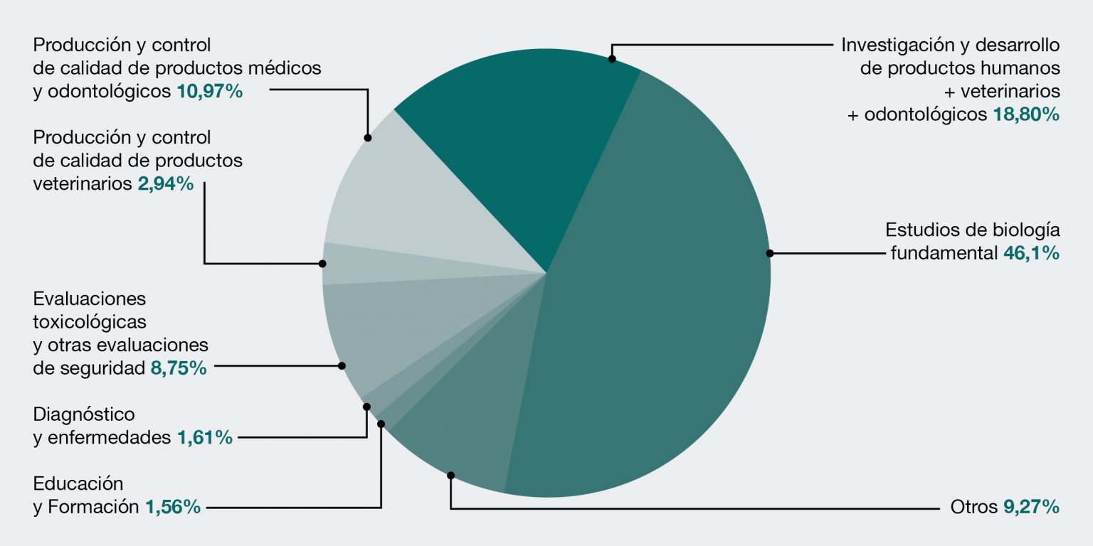 ¿Qué es la experimentación animal? - Acabemos con el especismo